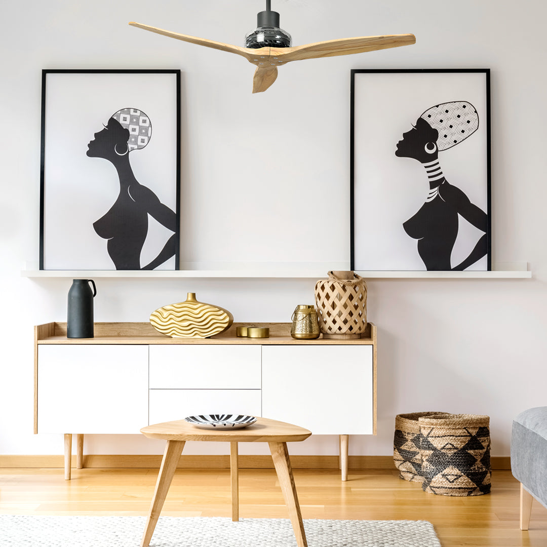 indoor and outdoor ceiling fans-choose your motor finish and blade ...